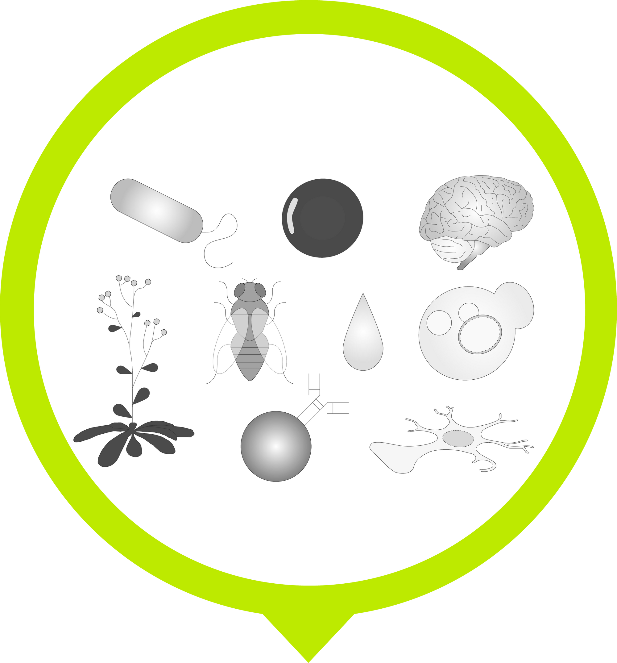 Smile! Protein and peptide sample preparation automated | PreOmics