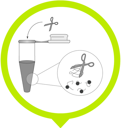 ENRICH-iST kit - Optimizing serum and plasma sample preparation for ...