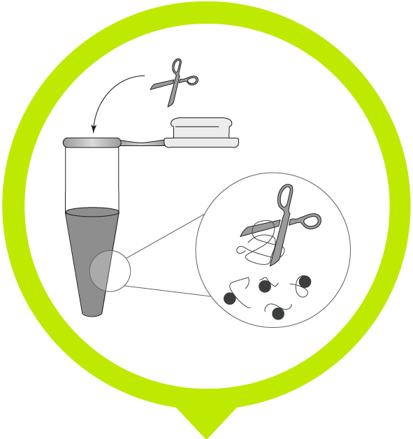ENRICH-iST kit - Optimizing serum and plasma sample preparation for ...