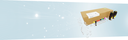 ENRICH-iST kit - Optimizing serum and plasma sample preparation for ...