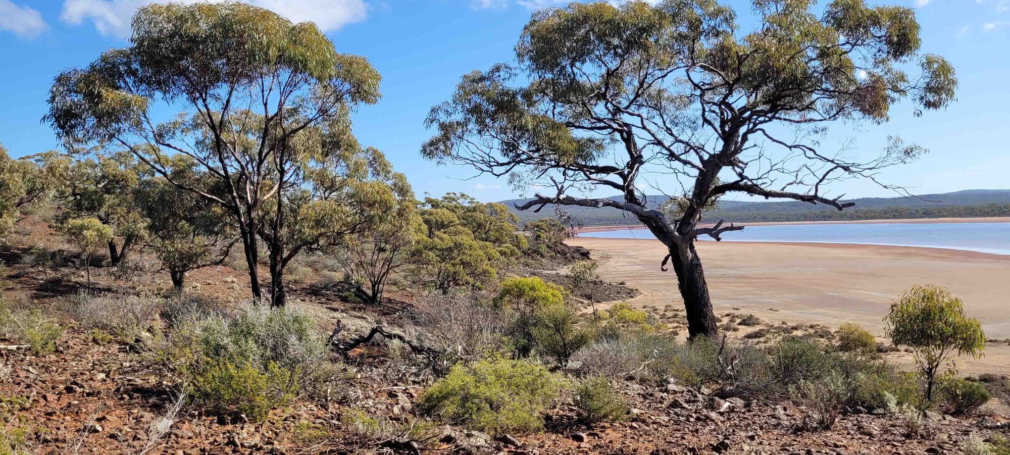 The Ngadju Native Aboriginal Title Corporation