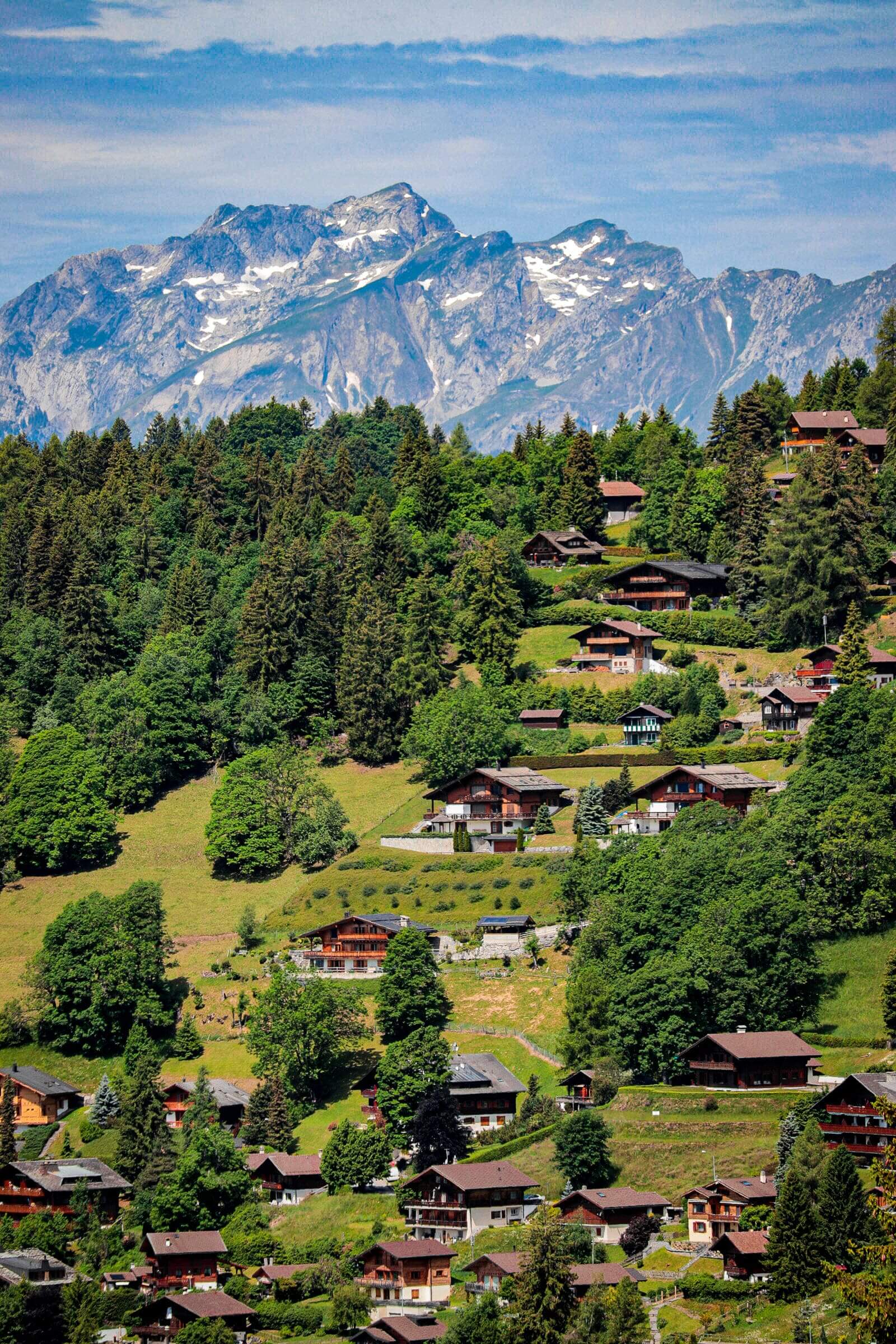 Villars Palace Hotel: A Selection of luxury rooms & suites for you to ...