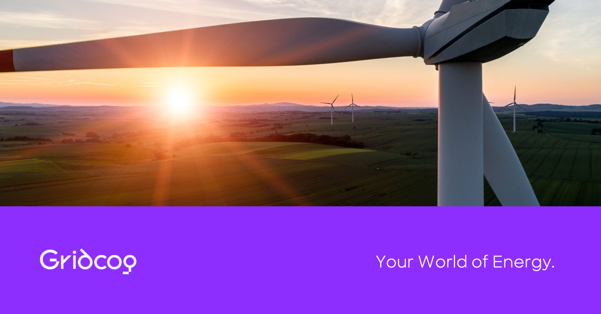 Build a Financial Model using Gridcog