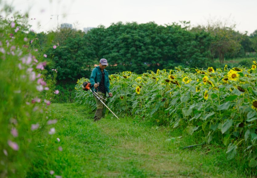 Focus sur l’obligation légale de débroussailler - Le Blog de Lyanne
