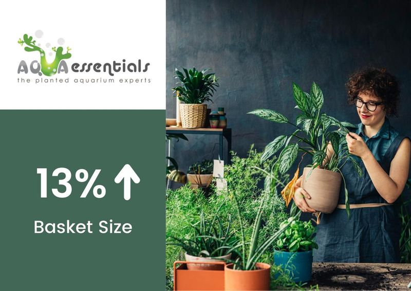 Aqua Essentials Uses Personalization to Increase Basket Size & Revenue