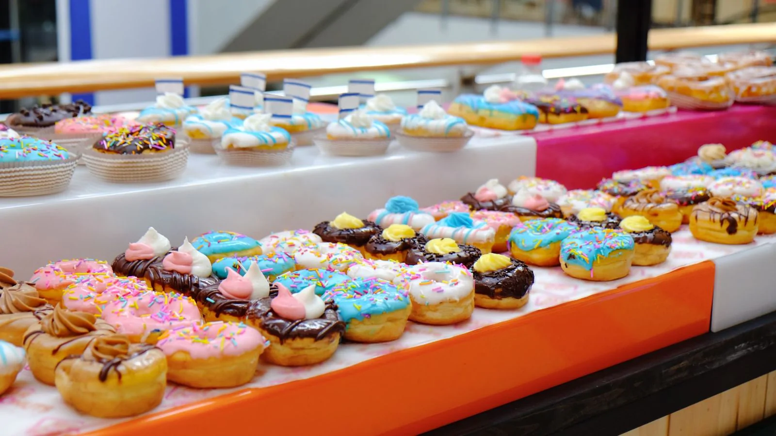 Fashion City Outlet | ODS Store