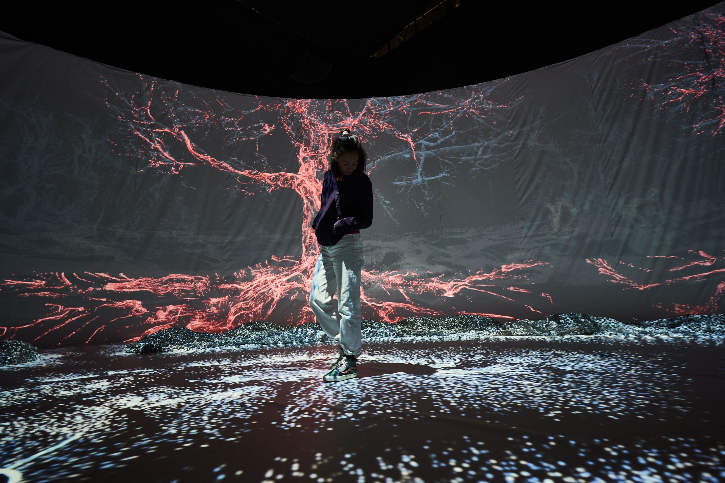 Circle of Life: An Immersive Journey of Nature's Eternal Cycle | 3D ...