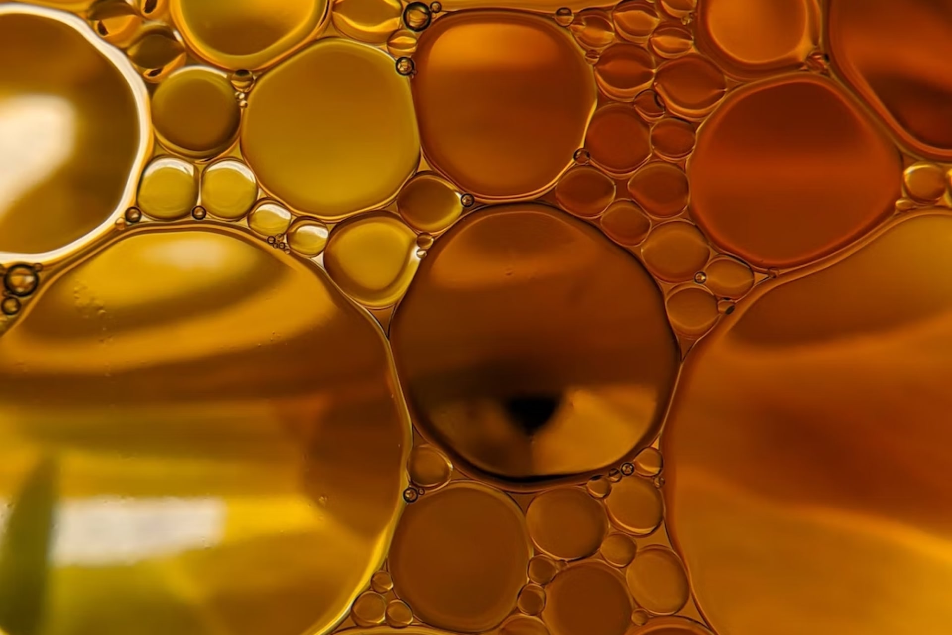 Διατροφή φτωχή σε κάλιο