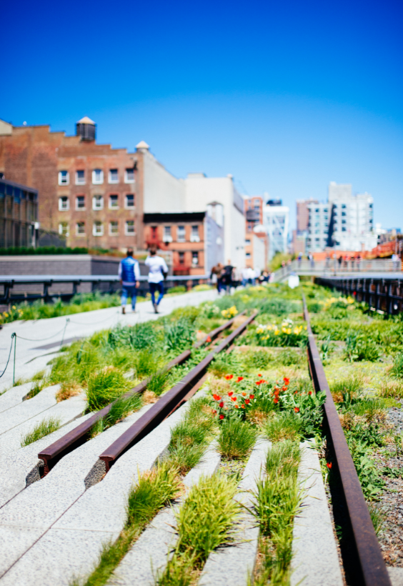The High Line Art Walk | FreeGuides