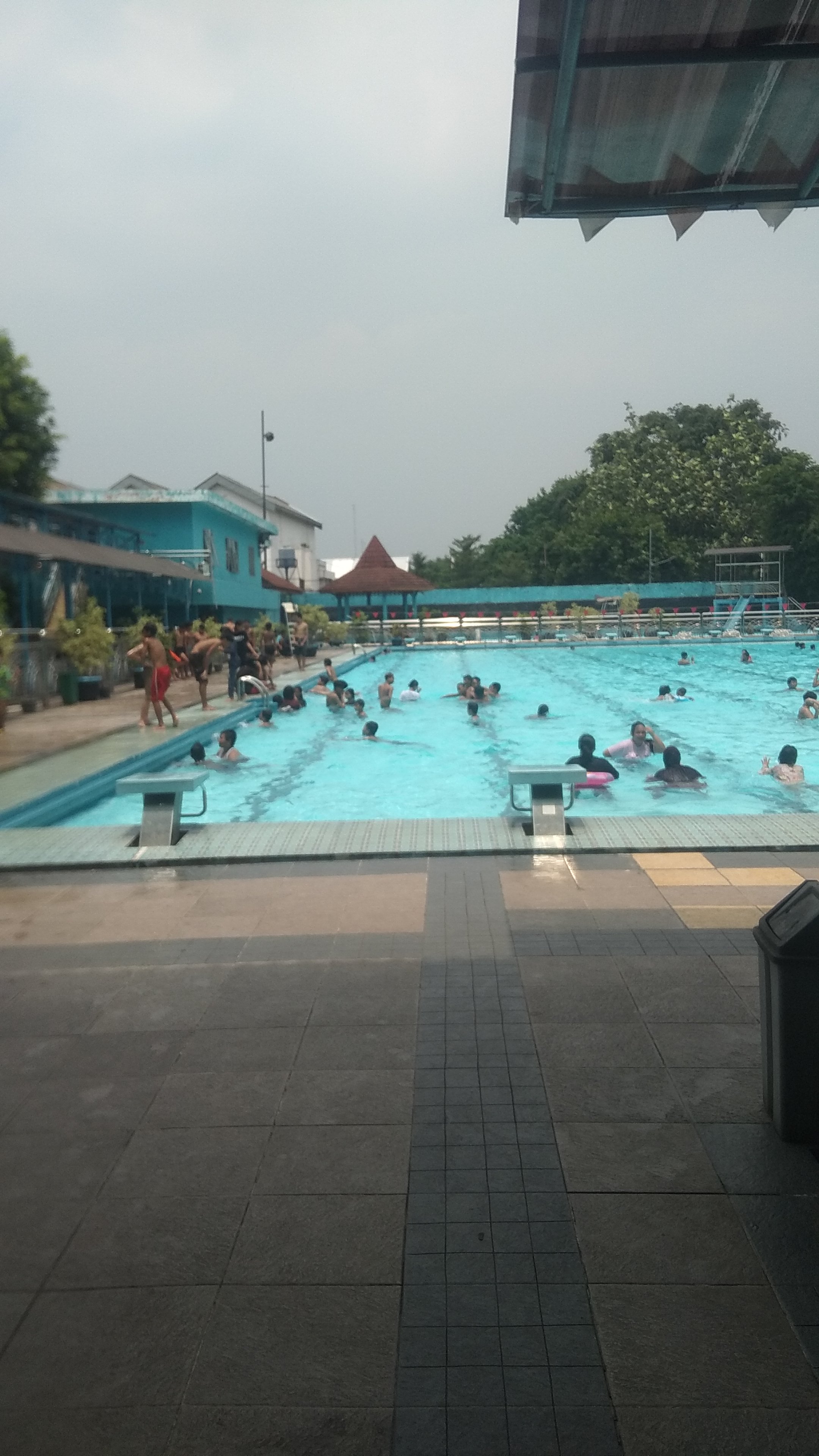 swimming in the rink pool | FreeGuides