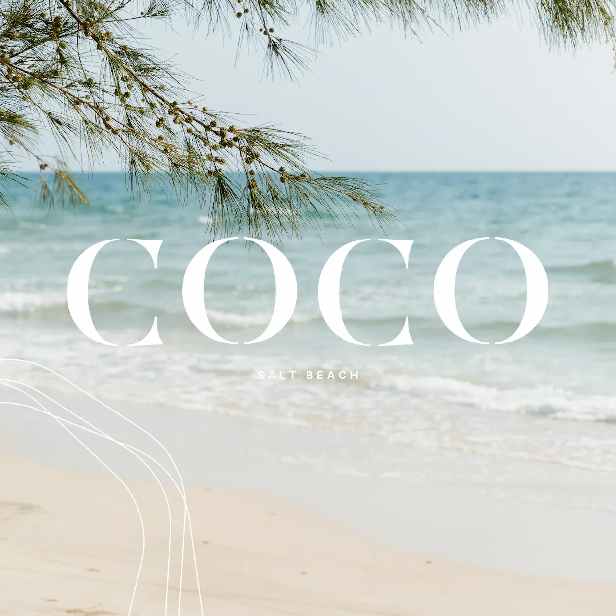 Gallery Group | Terms and Conditions