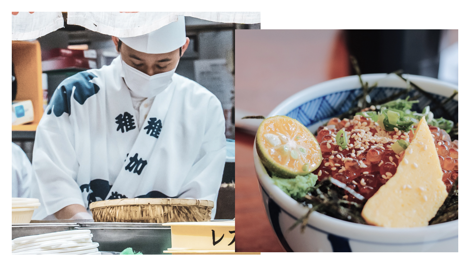 Fermentation and the Sustainable Future - Blackbox JP