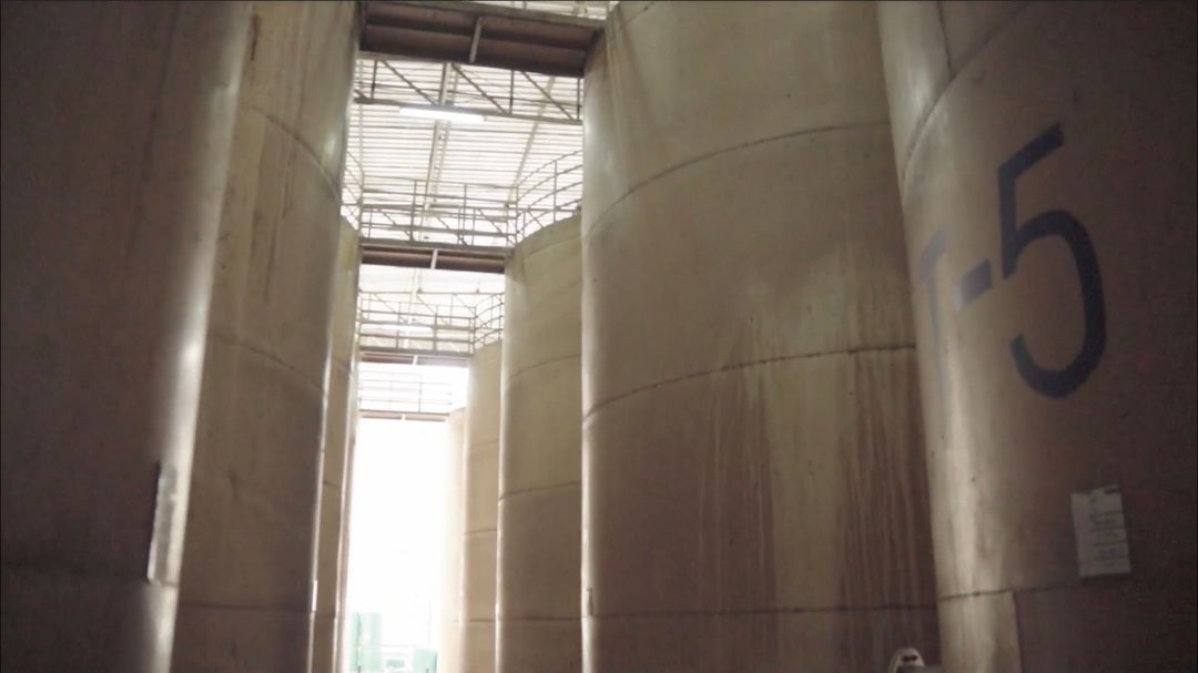 Balloon wholesale from B.K.Latex, deliever worldwide