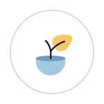 Account Pricing Plans | PLANOLY