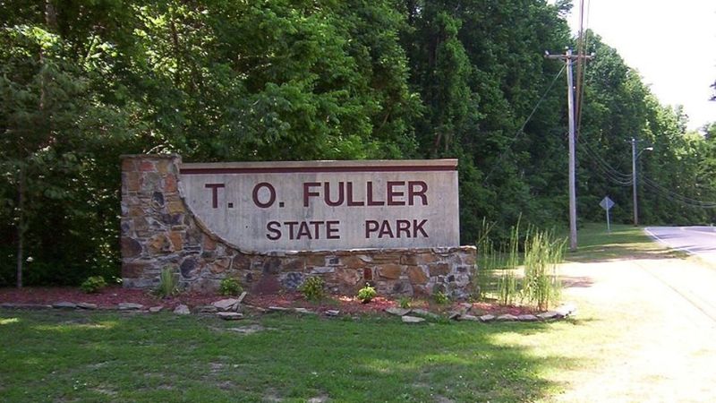 The History and Ecology of T.O. Fuller State Park | Wolf River Conservancy