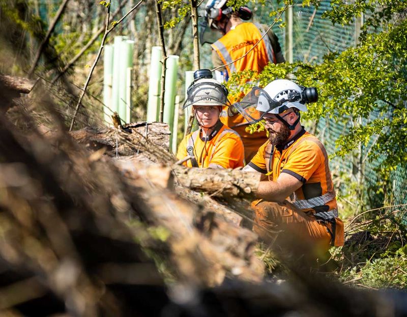 Social Value at COOMBES