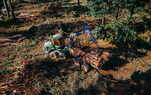 COOMBES Group - Forestry