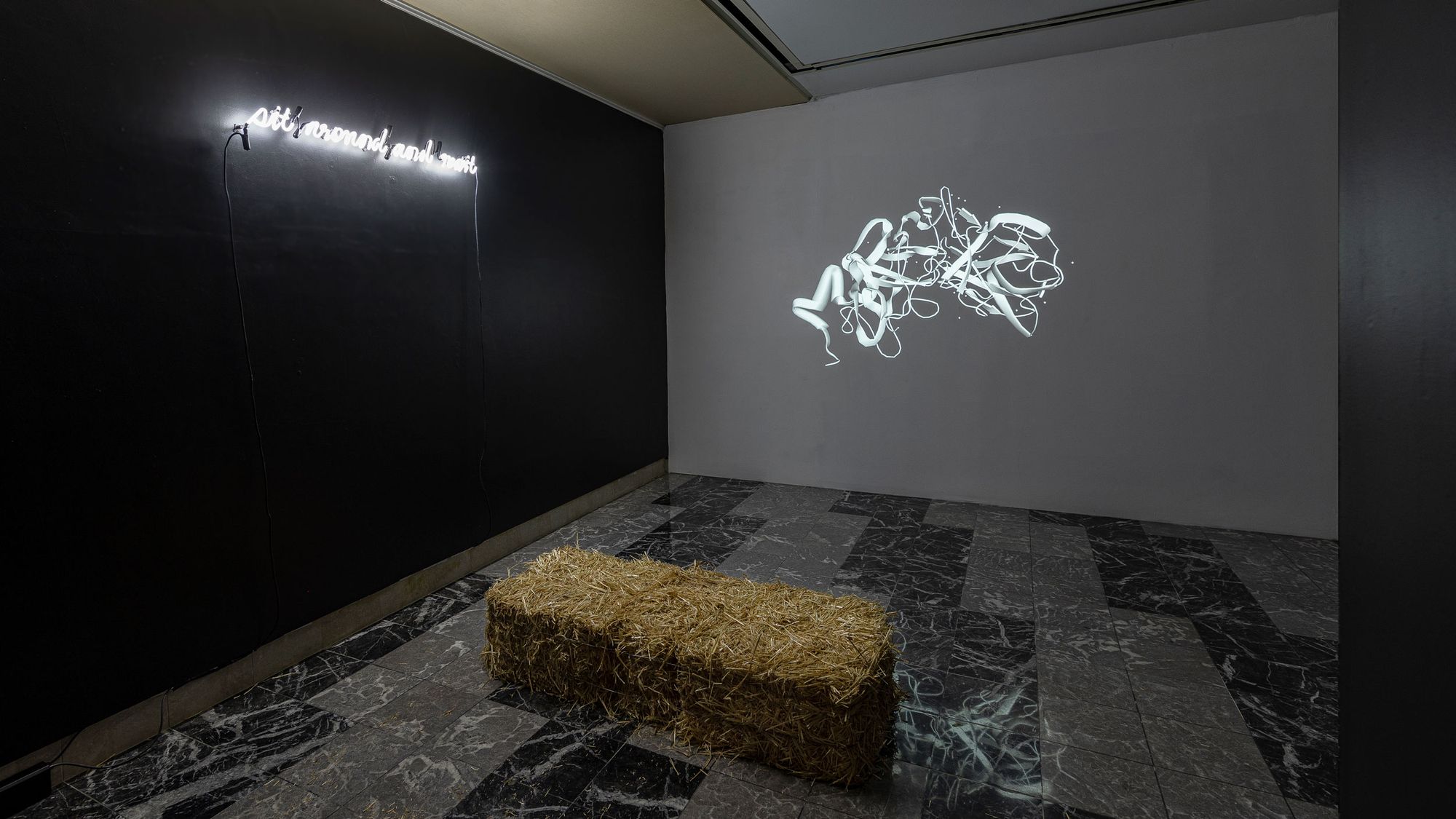 Projects: Artworks & Exhibitions • Laura Splan