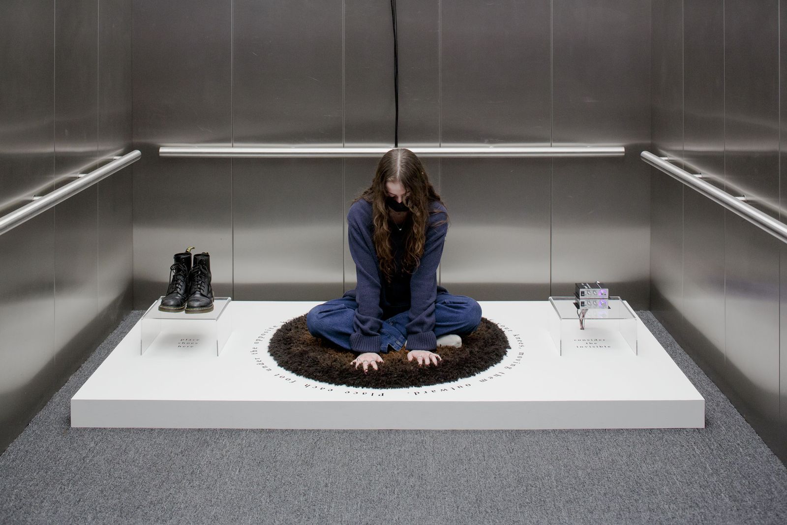 Rhapsody for an Expanded Biotechnological Apparatus at the Tang • Laura ...