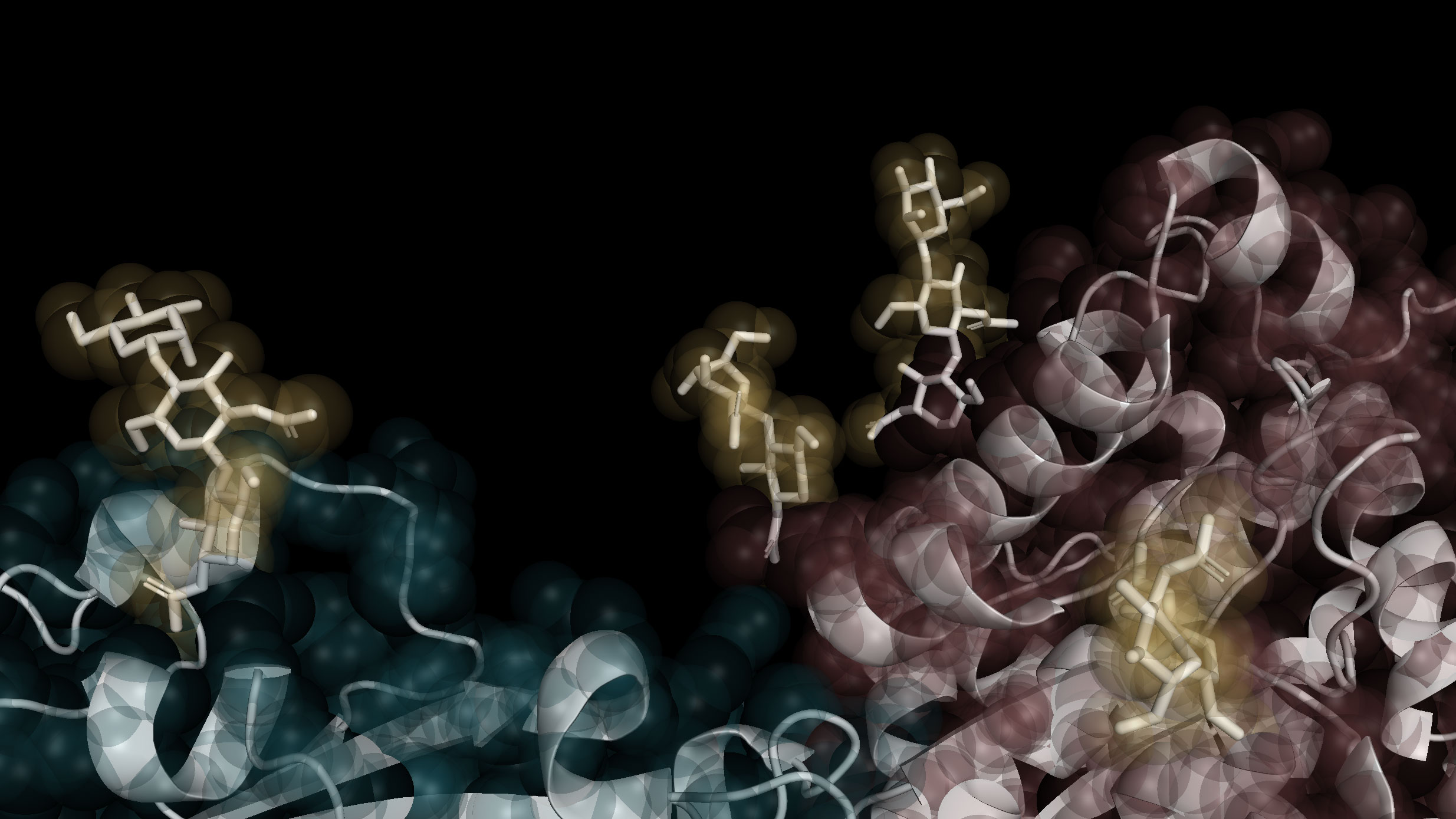 Disentanglement • Laura Splan