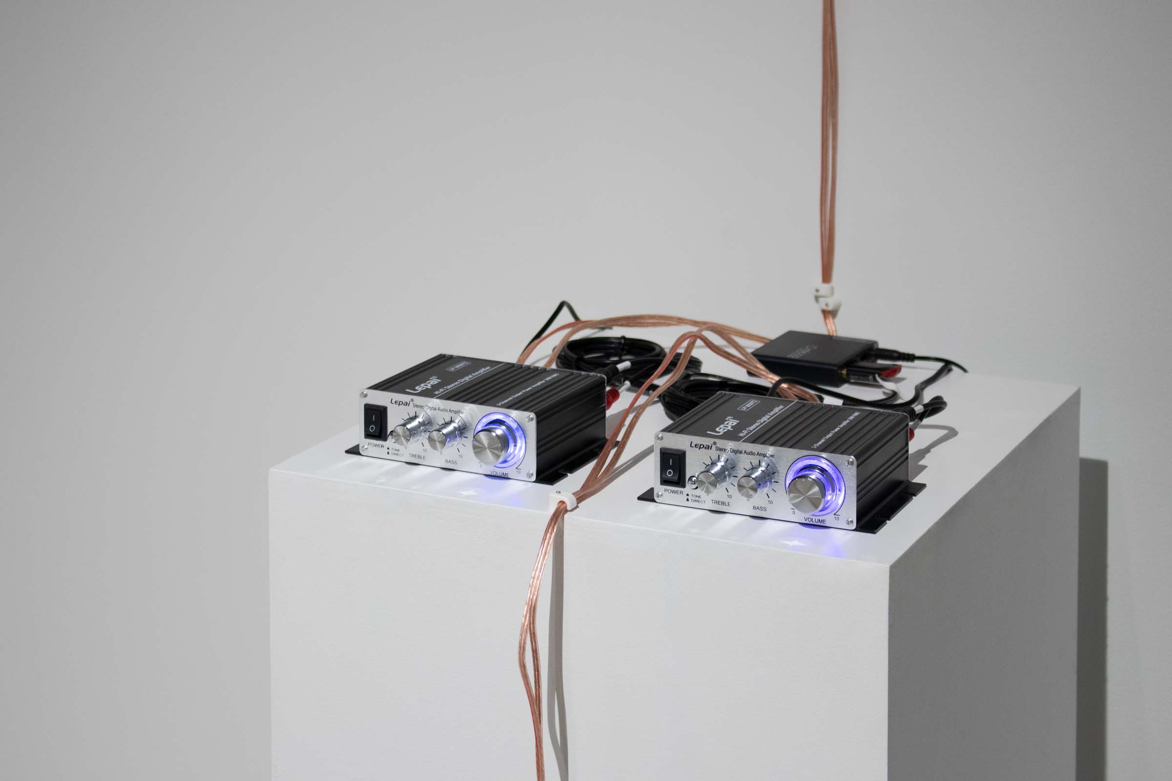 Lumen and Chaperone • Laura Splan