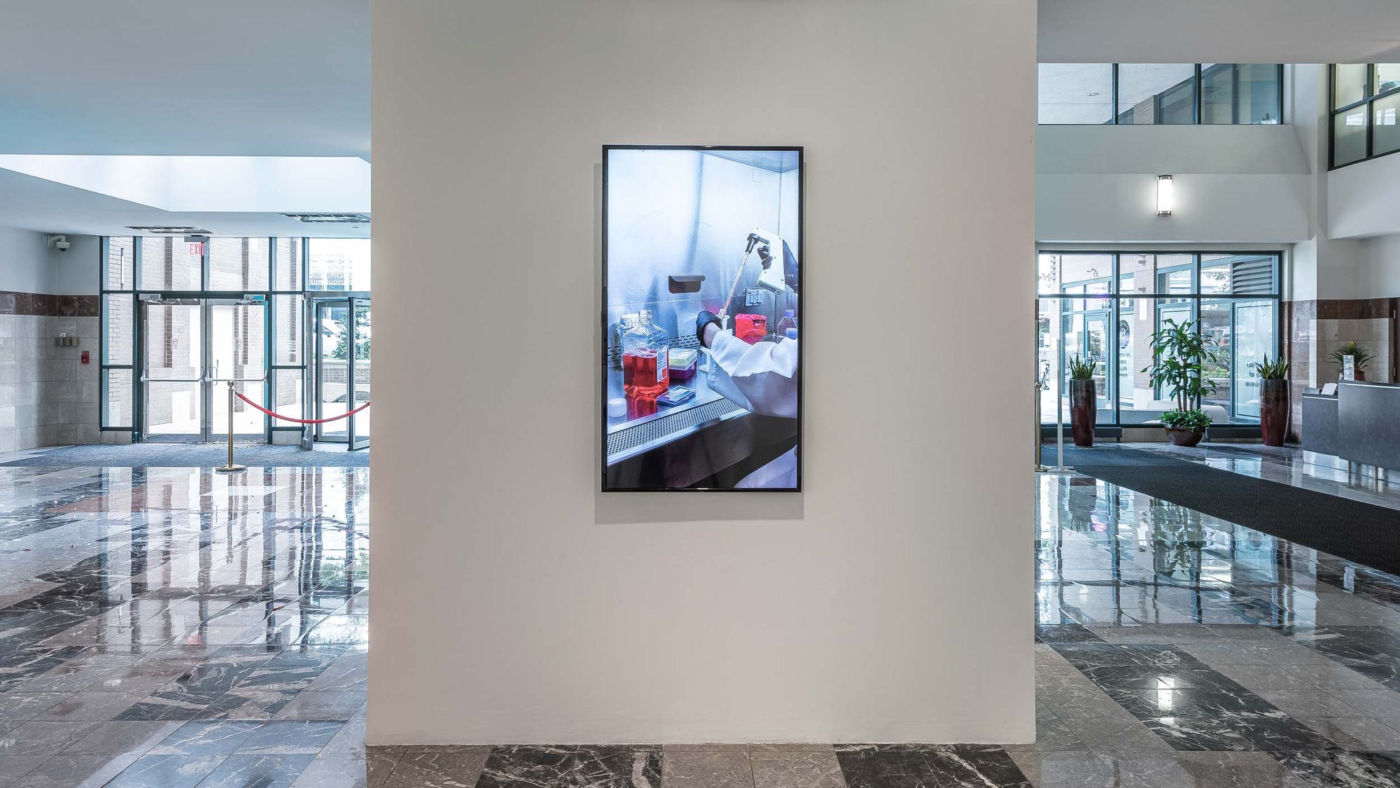 Projects: Artworks & Exhibitions • Laura Splan