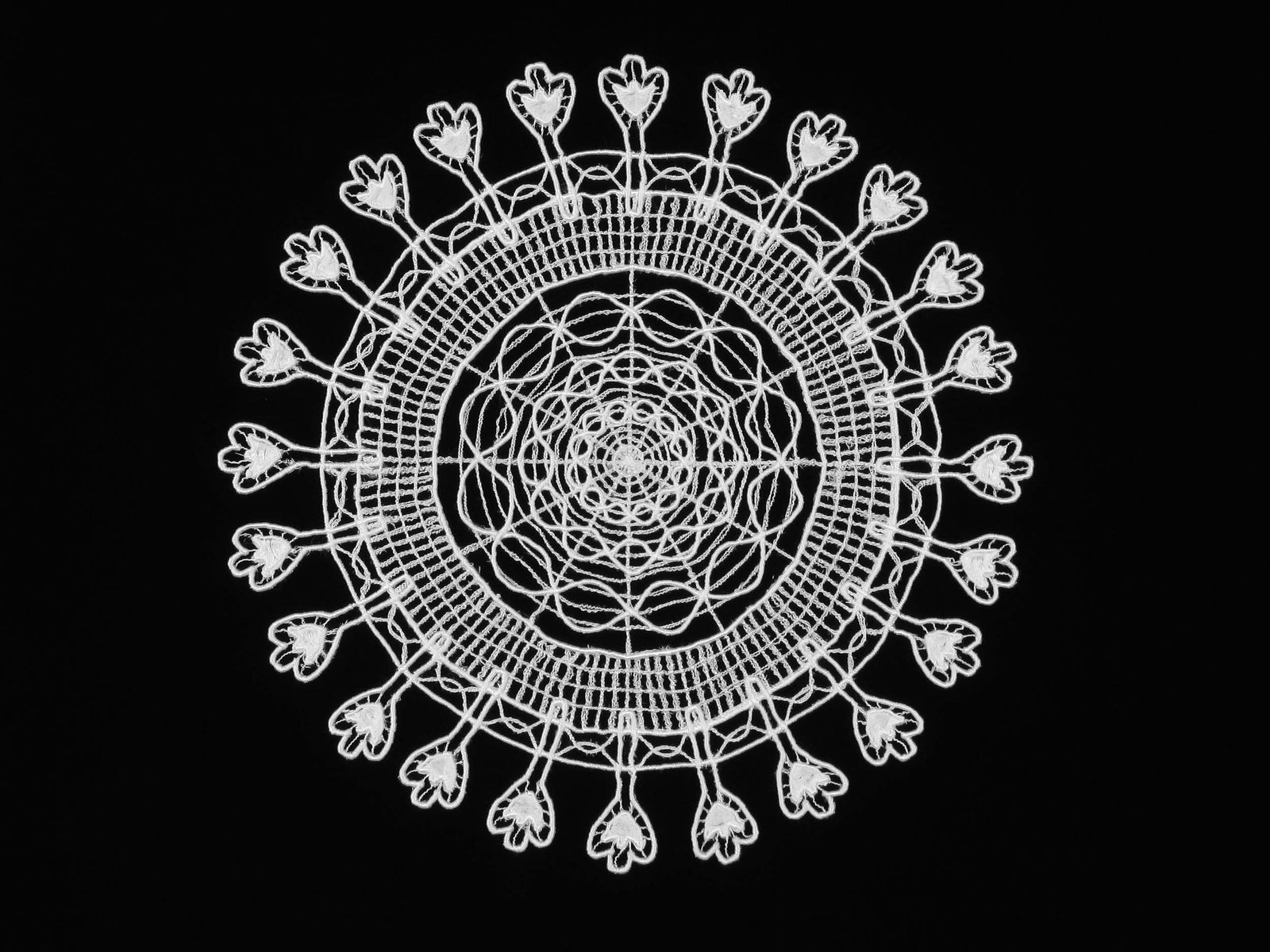 Doilies (SARS, HIV, Influenza, Herpes, Hepadna) • Laura Splan