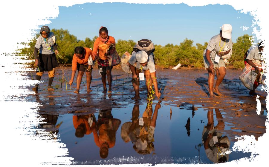 Planet Wild: Let's rewild the planet!