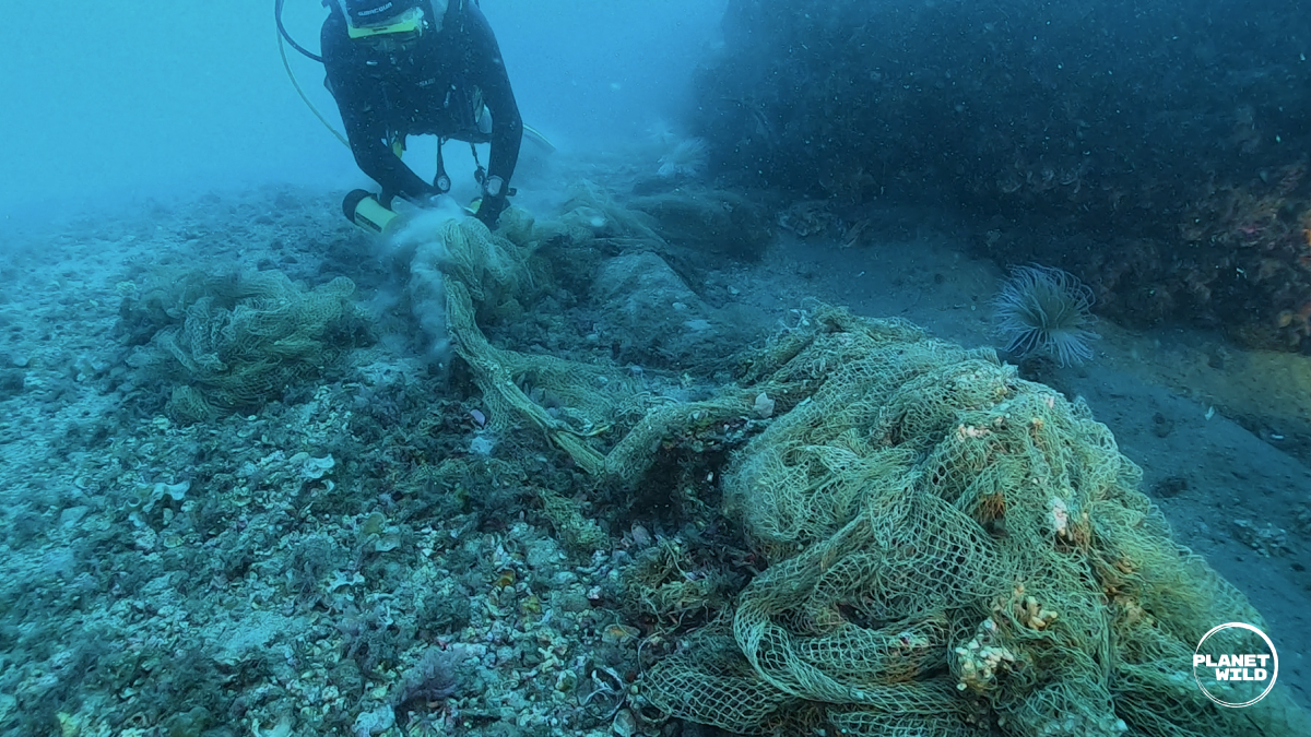 We helped clean up the ocean in Spain · Planet Wild