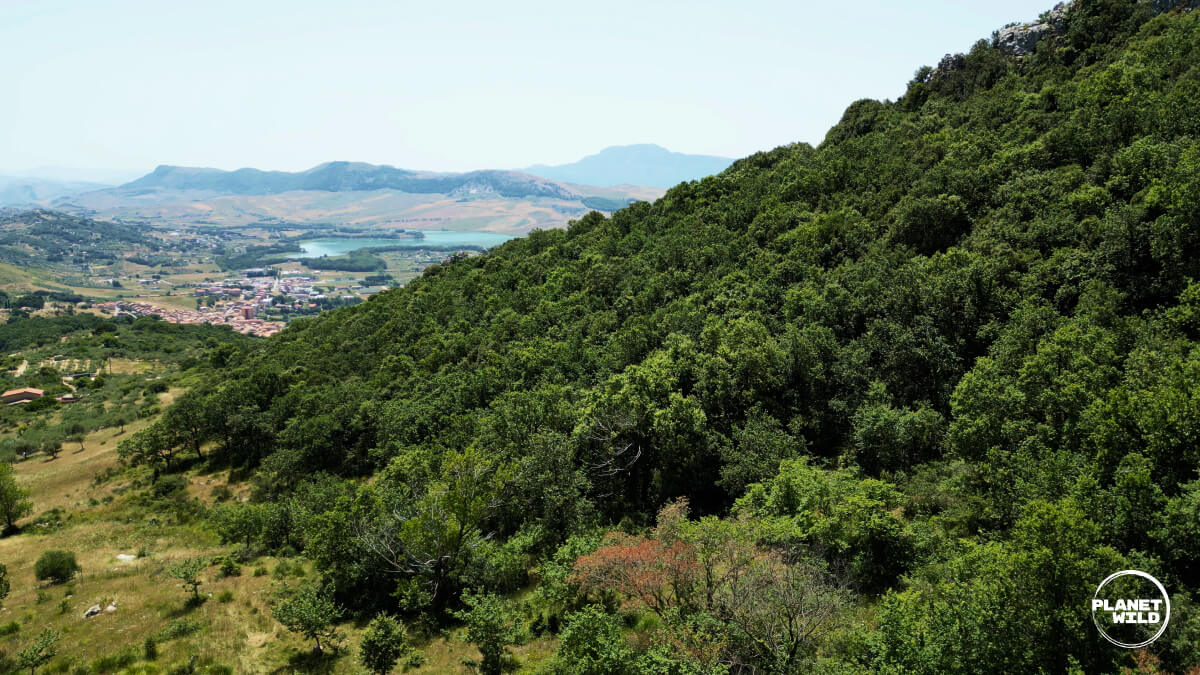 How we're training guerilla wildfire fighters · Planet Wild