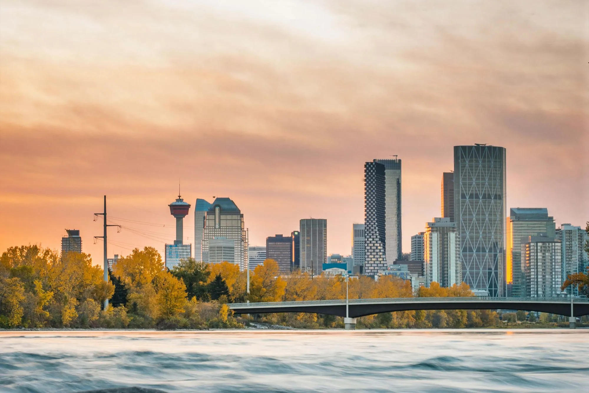 About Us | Transchem Group