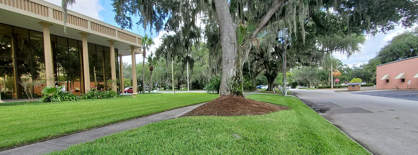 Repipe Experts in Polk