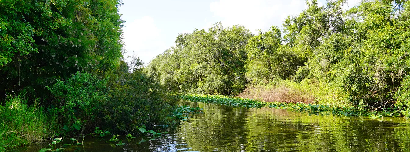 Repipe Experts in Hillsborough