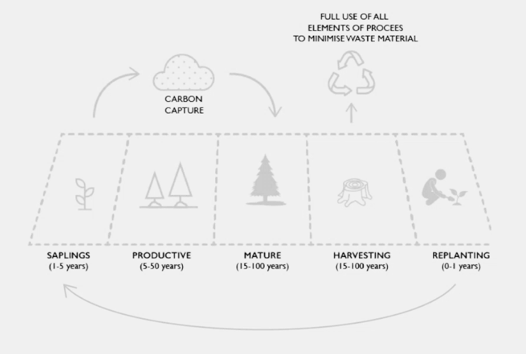The Journey of Wood Flooring – Part 2