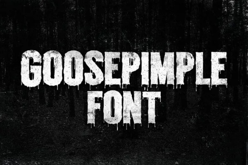 Fantastic Fitness & Gym Fonts for Your Logo & Branding Design