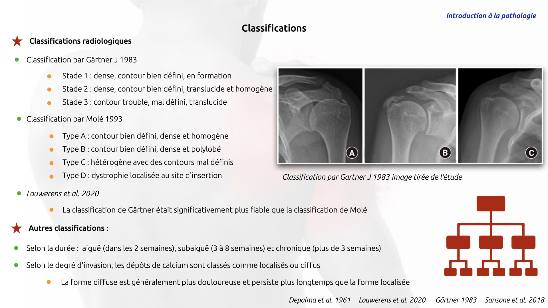 Module - La tendinopathie calcifiante de l'épaule - Introduction à la ...