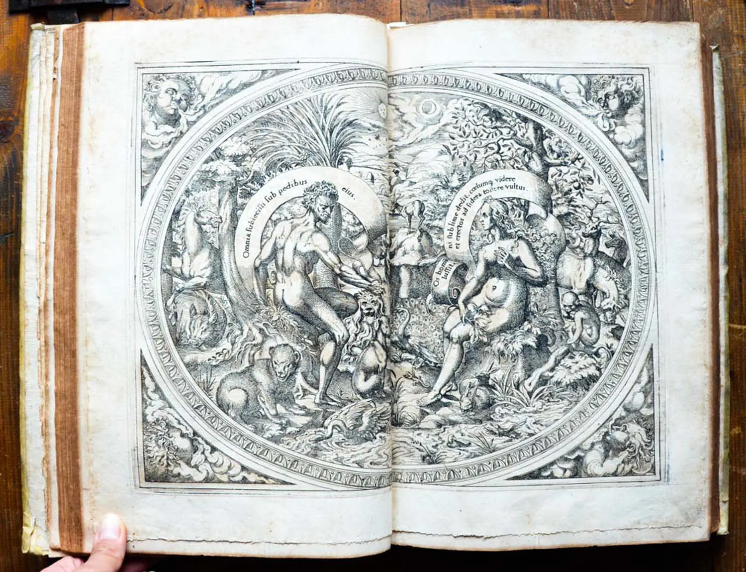 The Order of the World