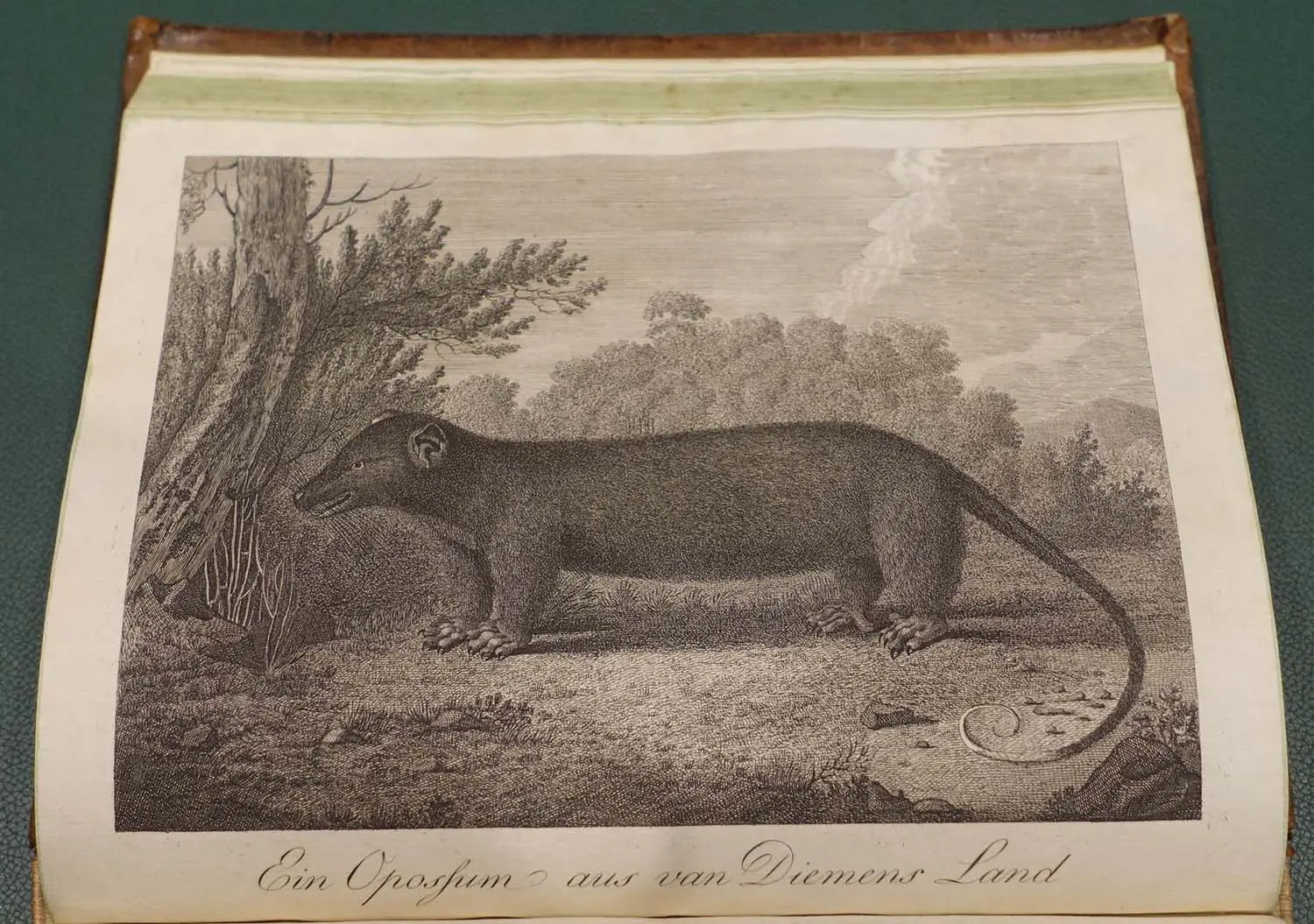 Georg Forster, Captain James Cook’s Third Voyage of Discovery