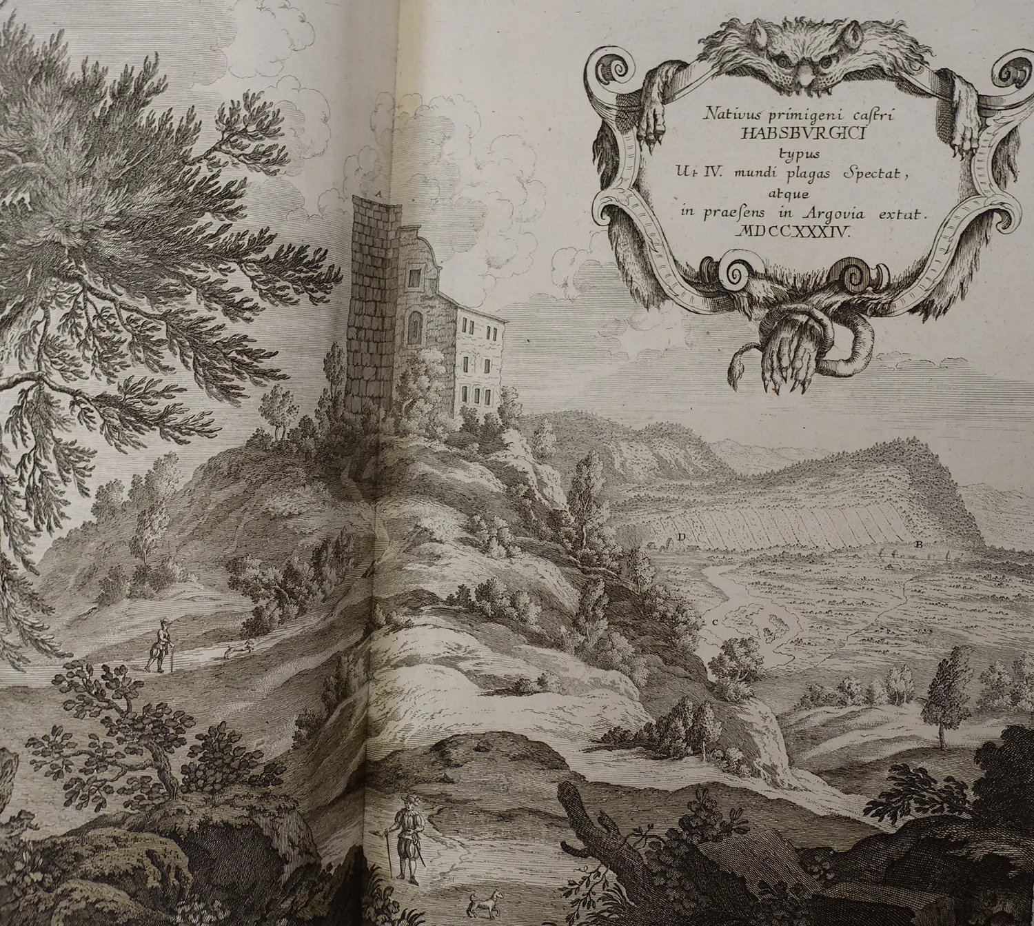 Between Myth and History: The Genealogy of the Habsburgs