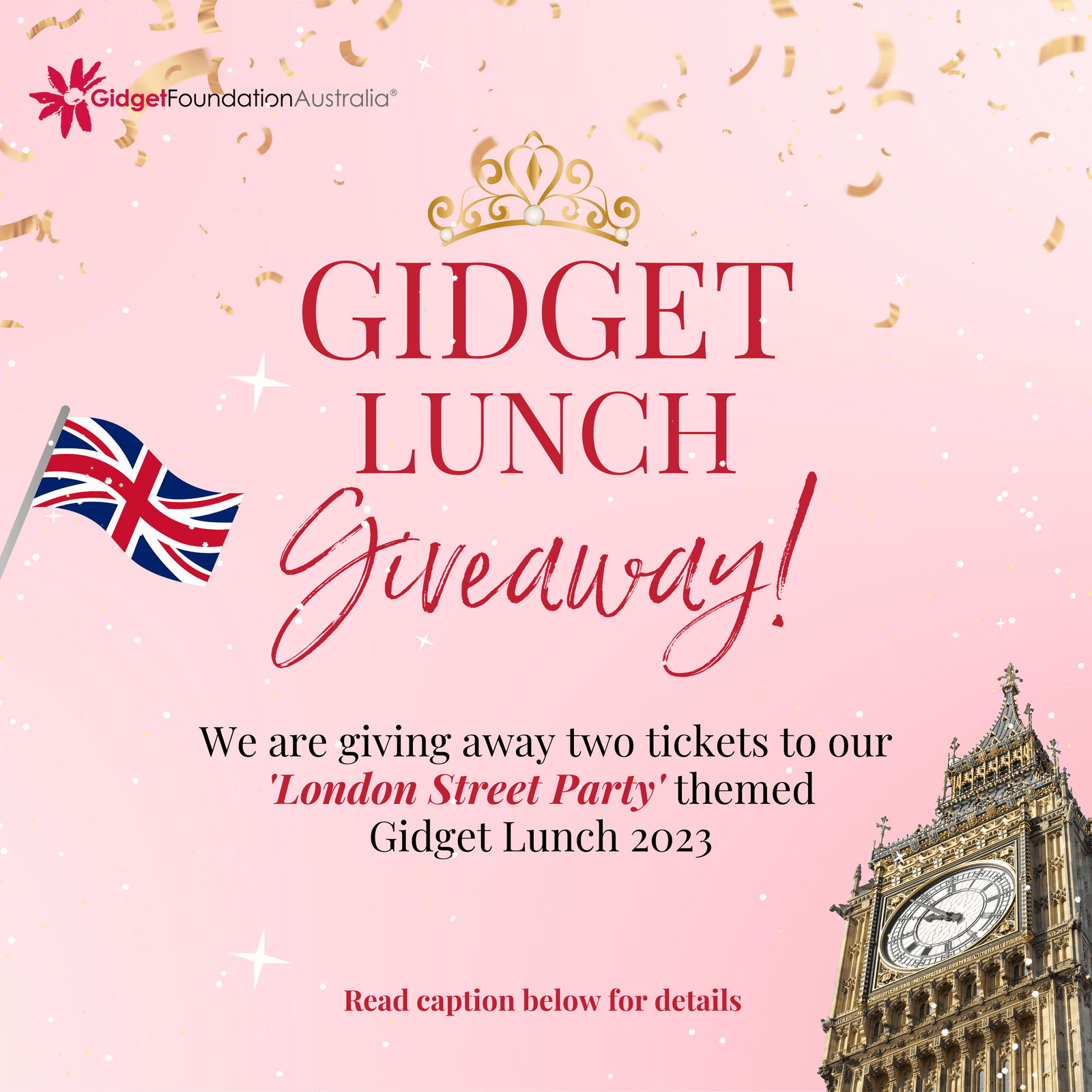 Home [www.gidgetfoundation.org.au]