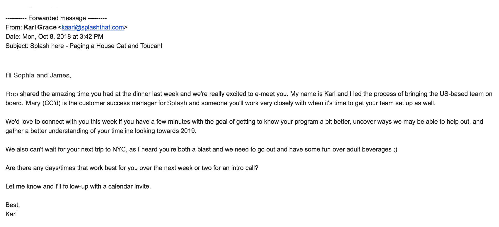 How to Host an Unforgettable VIP Dinner | Splash