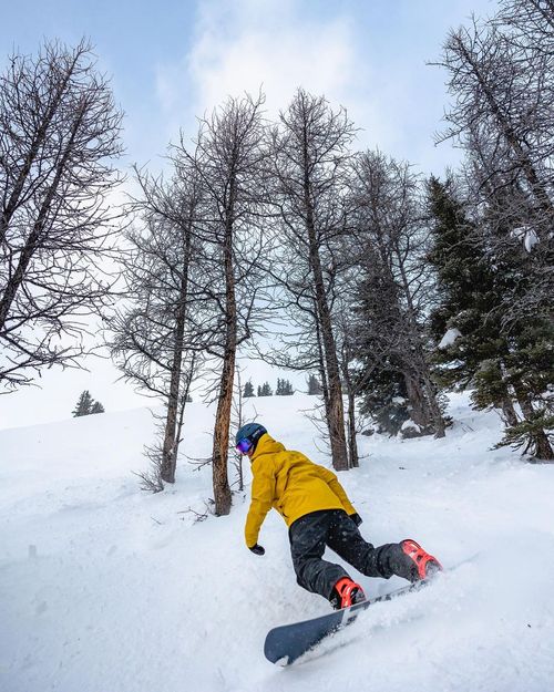 Cozy Mountain Hotel Baker Creek | Basecamp Resorts