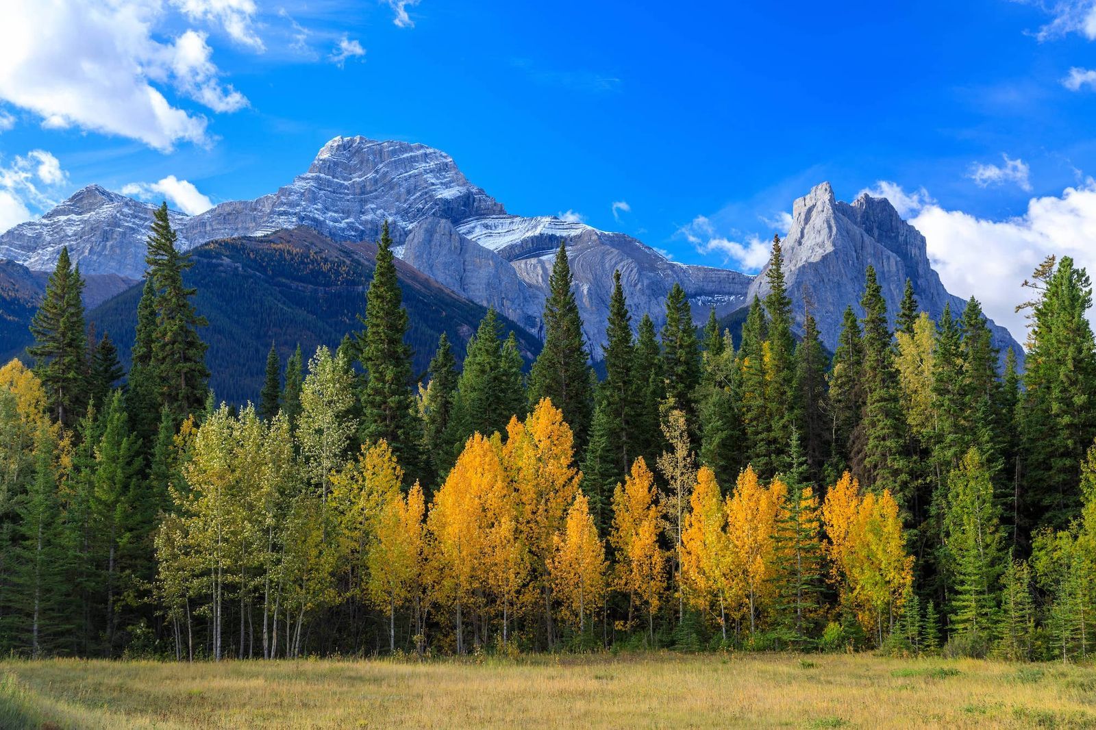 The Best Places to See Fall Colours in Banff | Basecamp Resorts