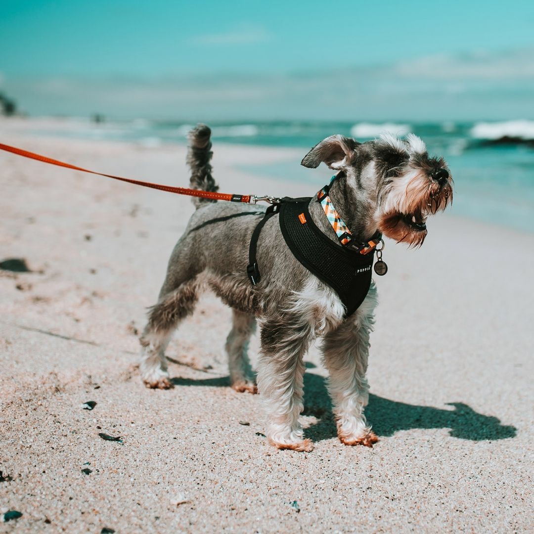 February 22 Holidays & National Days | 2023 Holiday Calendar