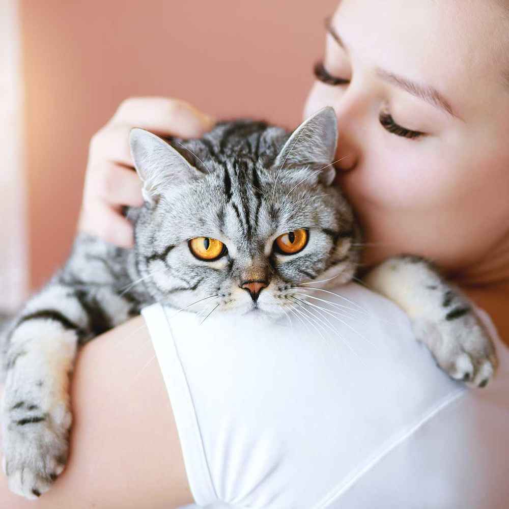 National Cat Lovers’ Month 2023 - History, Importance & How to Celebrate