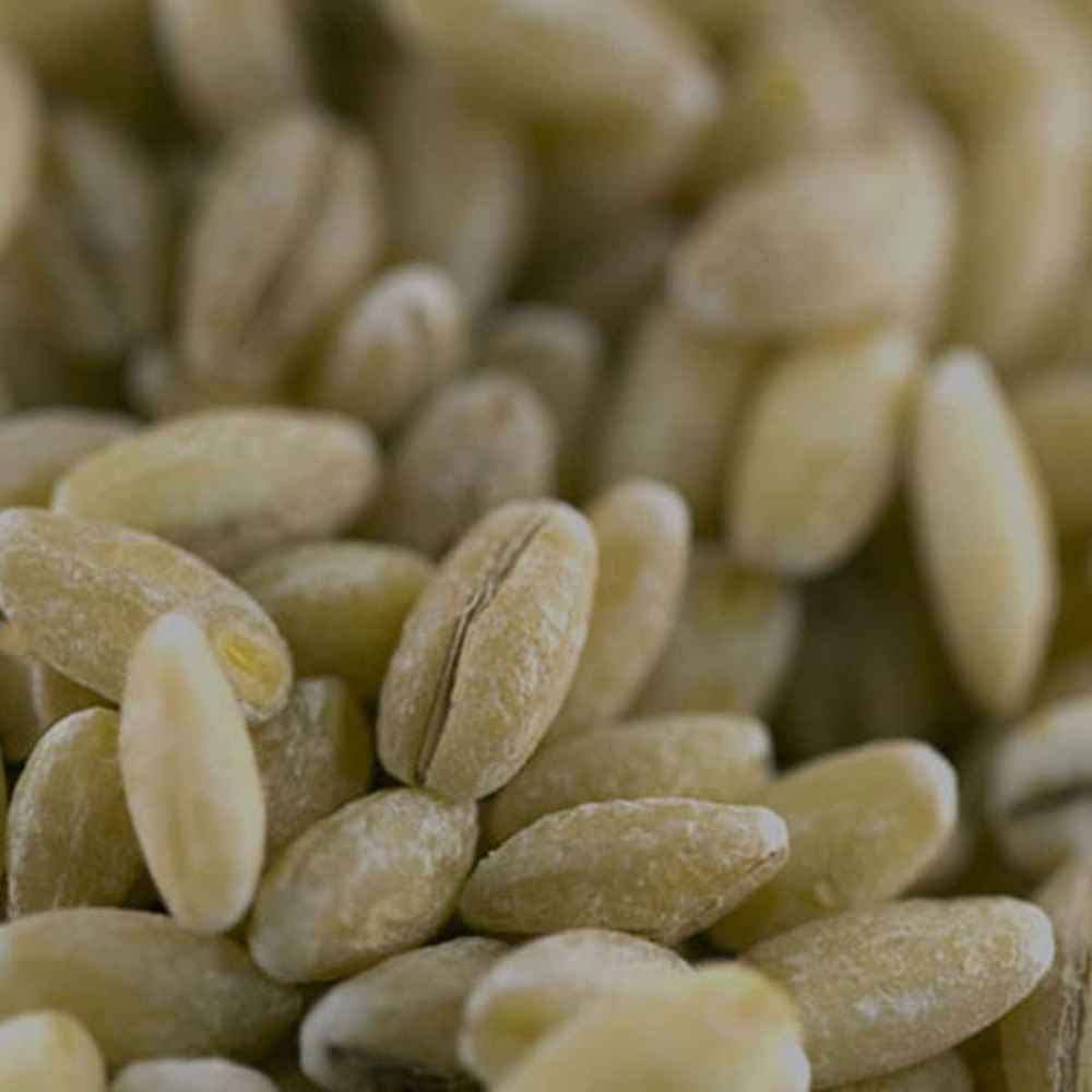 September 13 Holidays & National Days | 2023 Holiday Calendar