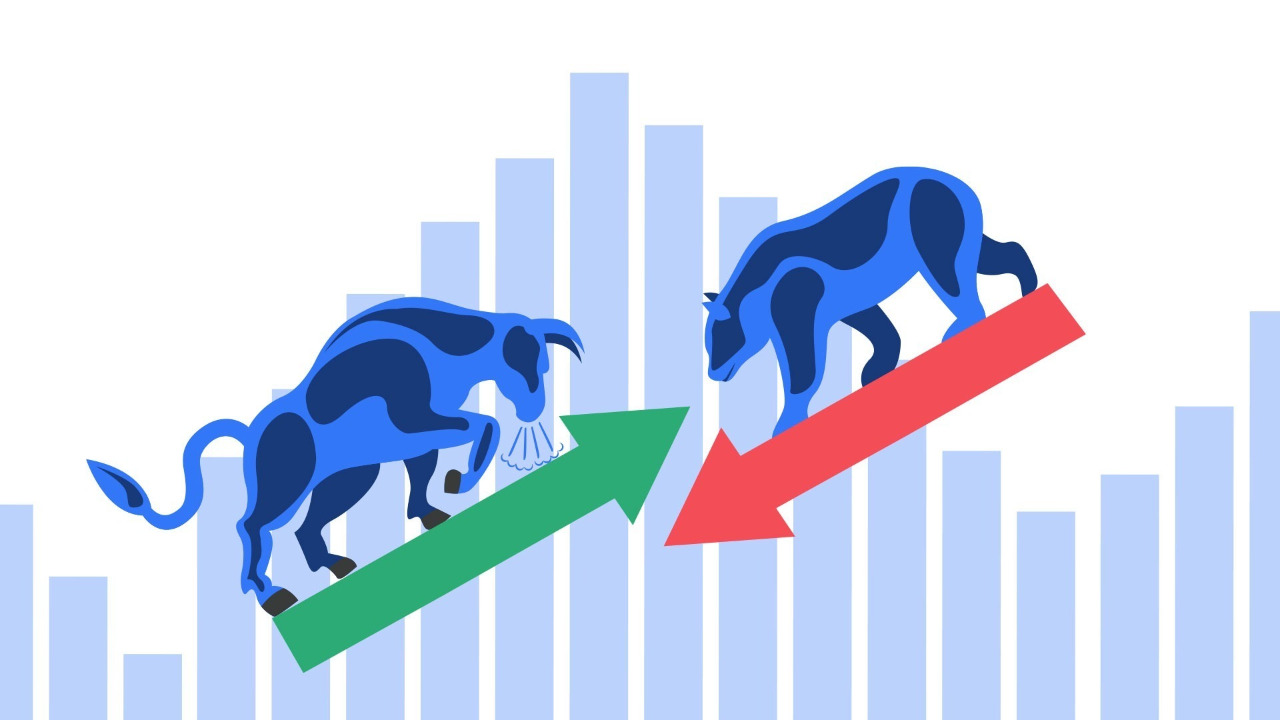 What is a bull or bear market?