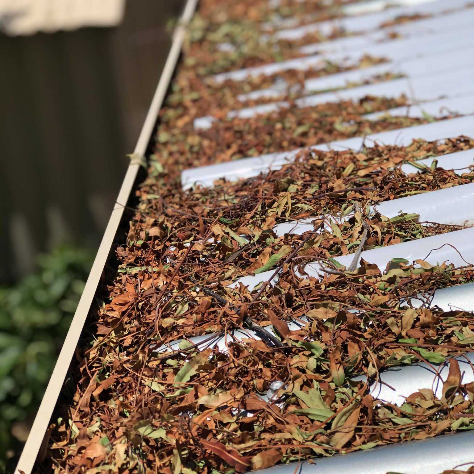 Gutter Cleaning Adelaide | #1 Gutter Cleaners in Adelaide