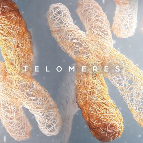 What Are Telomeres And Why Are They Important? | Next Health
