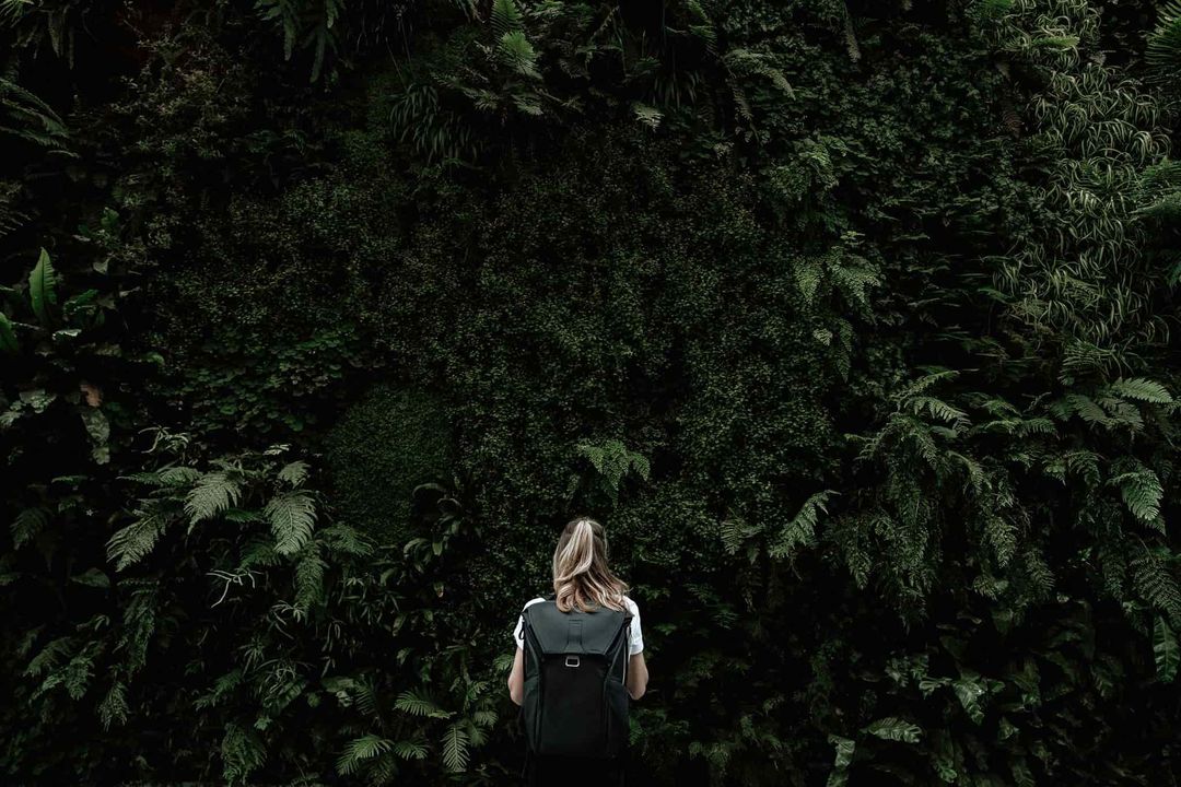 Peak Design Review: CrowdFunded Travel Gear Any Good?